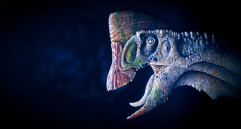 Ojoraptorsaurus head studies | Artist on a Mountain