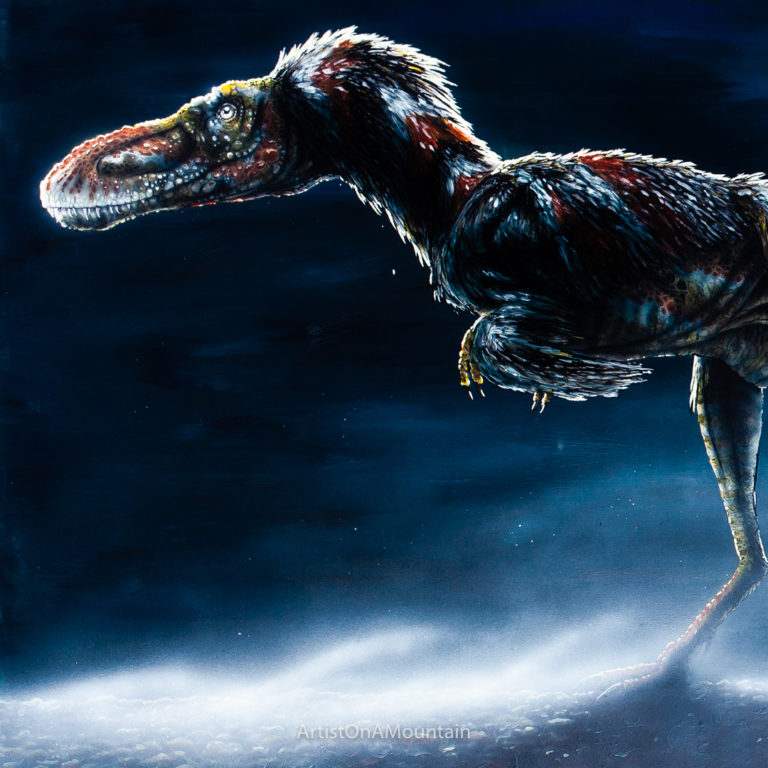 Moros intrepidus profile | Artist on a Mountain