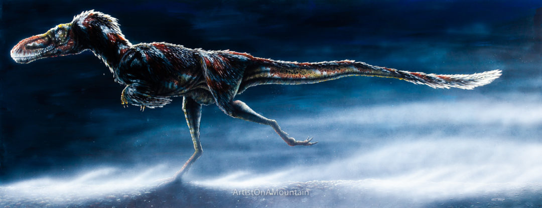 Moros intrepidus profile | Artist on a Mountain